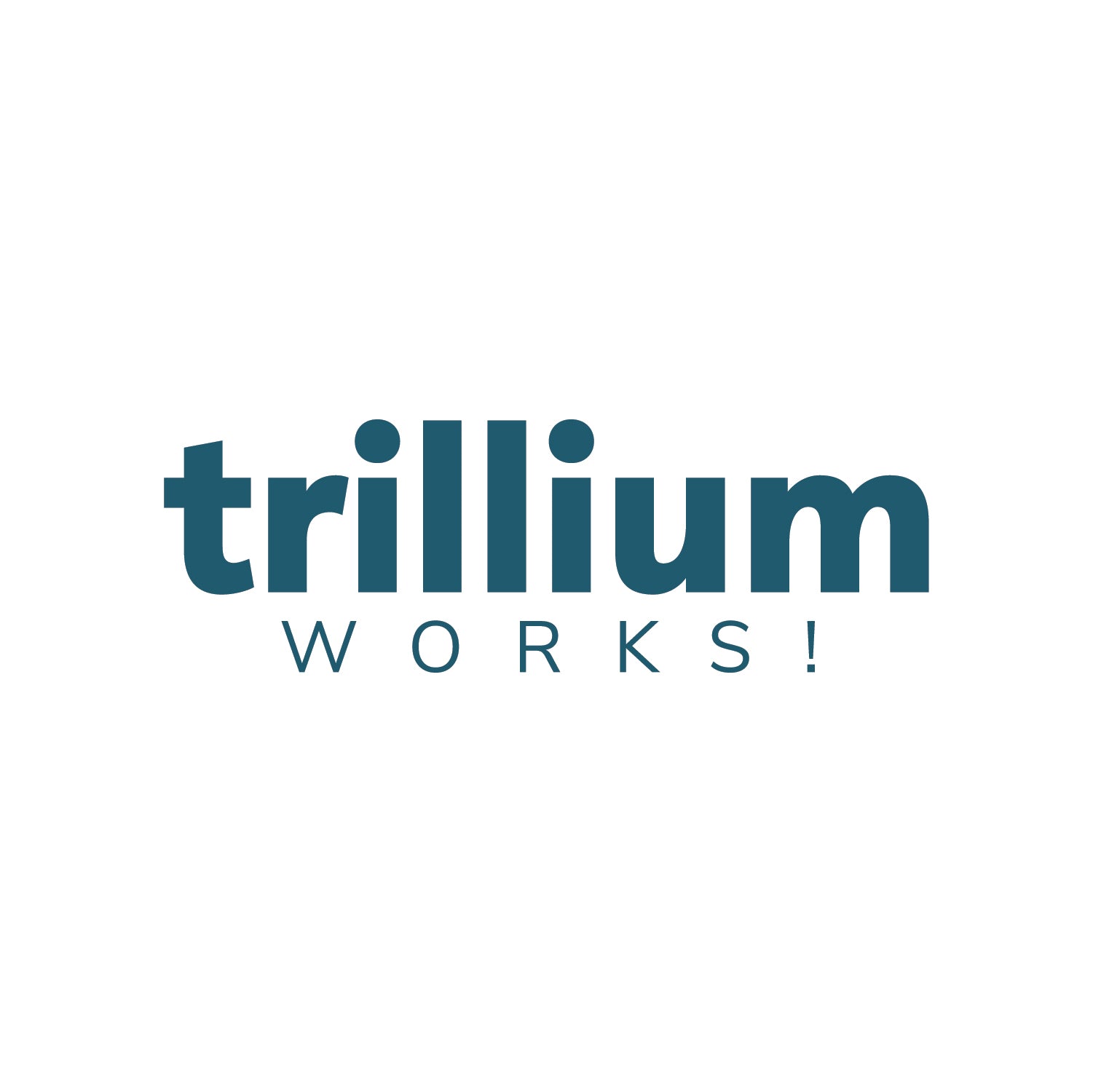 Trillium Works – DSP On Demand